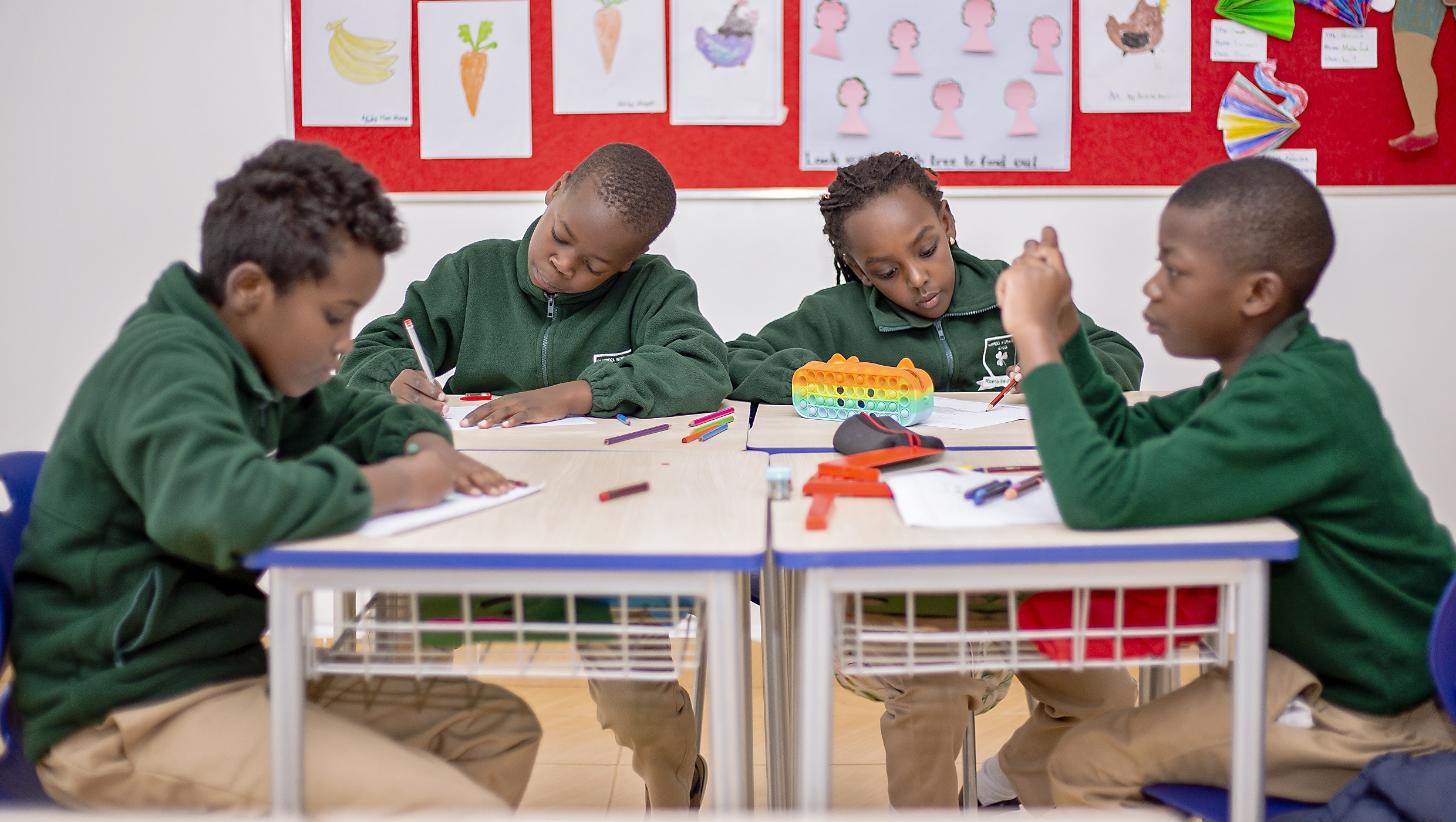 Shamrock International School